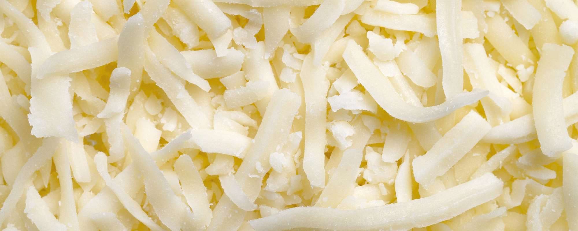 Cheese - Welcome to Flanders Milk